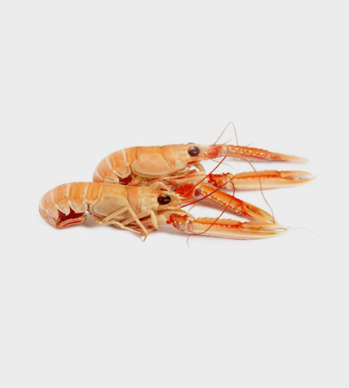 Scampi interi 13/15 - Shop Big Marlin | Surgelati online